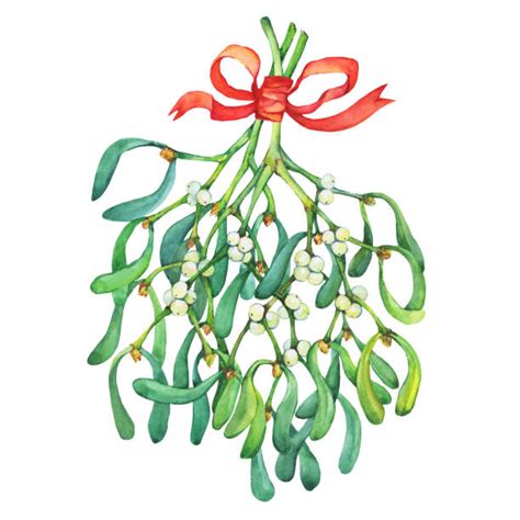Royalty Free Mistletoe Kiss Clip Art Vector Images And Illustrations