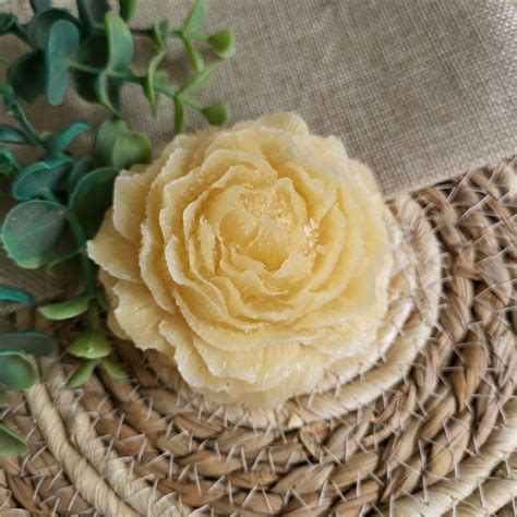 De Beste Marrokaanse Amber Roos Vanille Vind Je Bij Yinzie