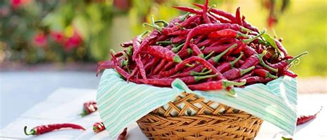 Manfaat Cabai Guesehat