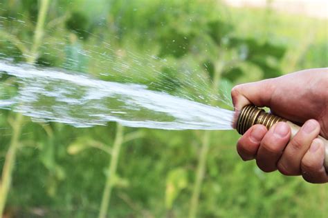 Free photo: Water, Hose, Garden, Wet, Gardening - Free Image on Pixabay ...