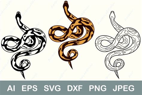 Ball Python Svg Snake Svg Ball Python Shirt Mystical Svg