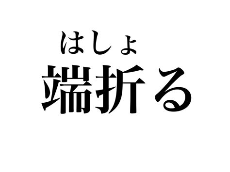 Cancam Jp