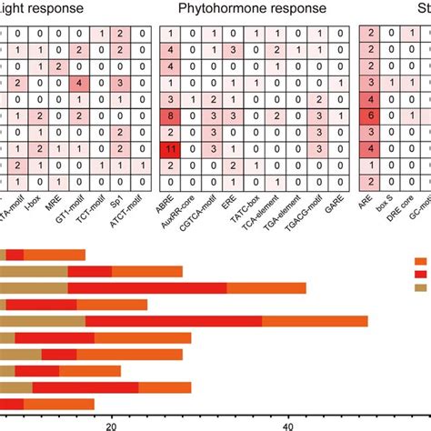 Predicted Cis Elements In The Promoter Regions Of Sitps Genes A