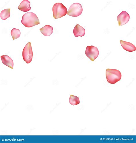 Sakura Blossoms Blank Background Template Stock Illustration