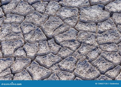 Fondo Agrietado De La Textura Del Suelo De La Tierra Con Color Claro