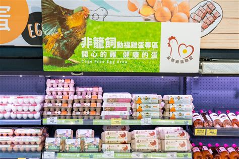 歡迎回「家」 家樂福全通路 為你我打造美好生活體驗 蕃新聞