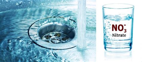 How To Test Nitrates In Water [treatment Tips Included]