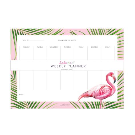 Up To 50 Off Lola Design Ltd