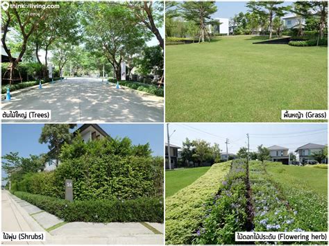 ไอเดียจัดสวนรอบบ้านด้วยตัวเอง ในงบประมาณเริ่มต้น 7 000 บาท