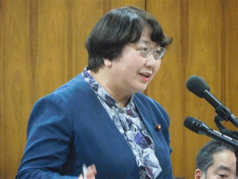 地域・こども・デジタル特別委員会で、子ども・子育て支援法（こども誰でも通園制度）について質問しました ｜高橋ちづ子（日本共産党前衆議院議員）
