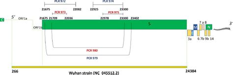 Rapid Screening For SARS CoV Variants Of Concern In Clinical And Environmental Samples Using