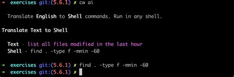 loving code whisperer ai — in the mac os shell iterm2 by hari jay