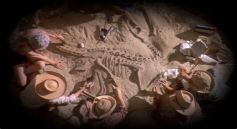 Nvl How Much Money Does The Dig Site Get From The Hammond Foundation