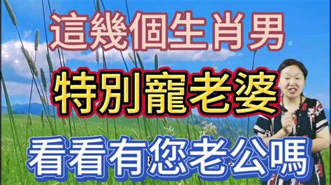 遇到是天大的福氣！這6個生肖男！特別寵愛老婆！來看看有您老公嗎？屬龍的男人有理想有執行力！事業成功！為愛人安排美好生活！錢不愁不夠花！他們能大