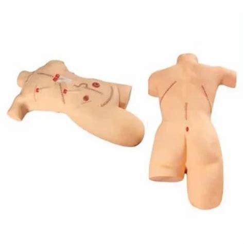 Pvc Surgical Suturing And Bandaging Simulator At Rs 116000 Medical
