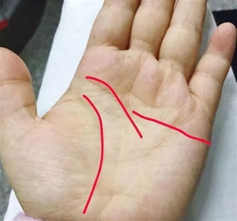 財線分叉，容易因感情問題而破財 人紋尾部分叉～多次情傷多婚命 壹讀