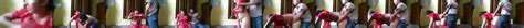 Free Featured Karachi Porn Videos 2022 Xhamster