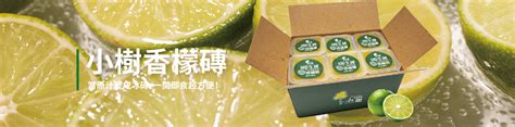 小樹之丘