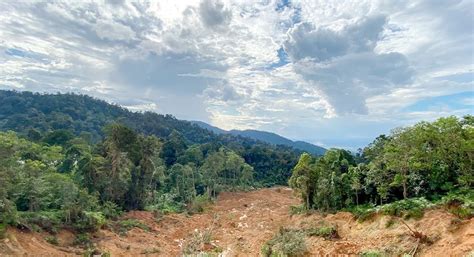 Batang Kali Landslide Search For Missing 12 Resumes