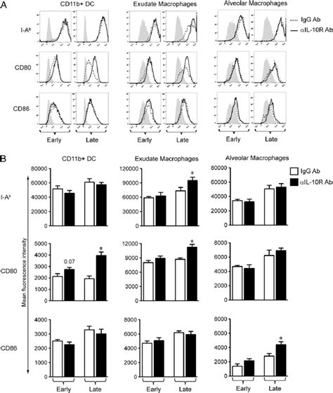 Late Il 10 Blockade Increases Lung Dc And Macrophage Activation During Download Scientific