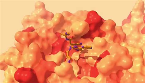 Inès Amri On Linkedin Computationalbiology Moleculardynamics Biotech Innovation