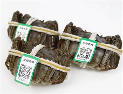 Custom Qr Code Labels Tags Stickers Traceability Qr Code Sticker Maker