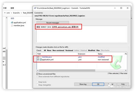 图 SVN 开发流程优化 知乎