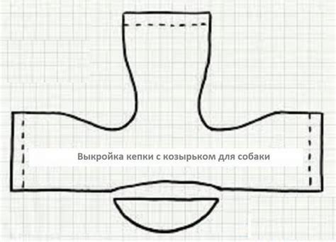 Как сделать кепку для собаки своими руками: 10 фотографий