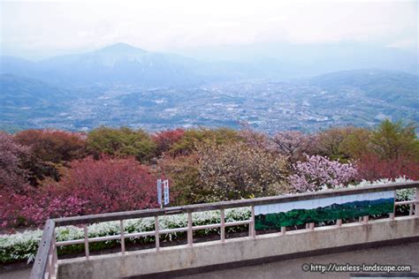 美の山公園の夜景情報埼玉県秩父郡皆野町 使い道のない風景