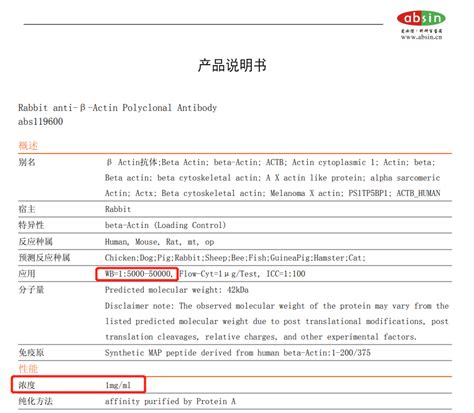 一文读懂抗体选择最全指南建议收藏