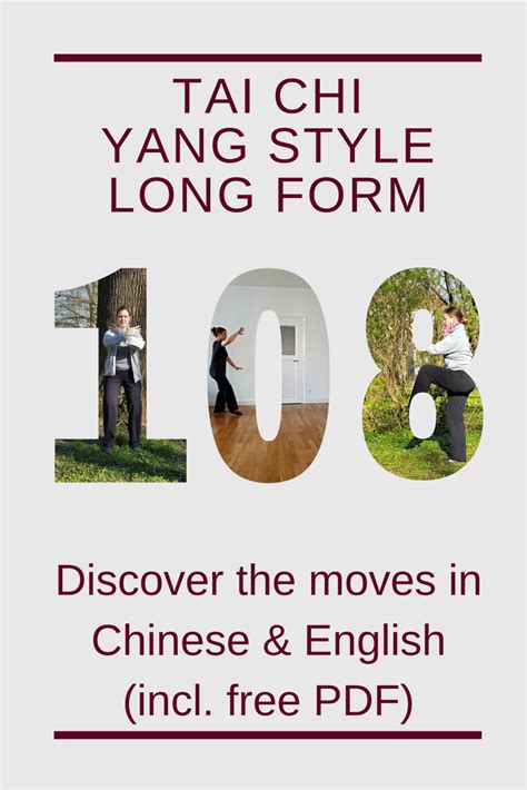 Yang Style Tai Chi 108 Form Long Form In Chinese English And German