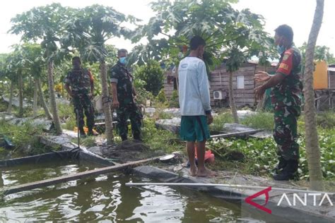 Babinsa Timika Beri Dukungan Petani Peternak Kembangkan Usaha ANTARA