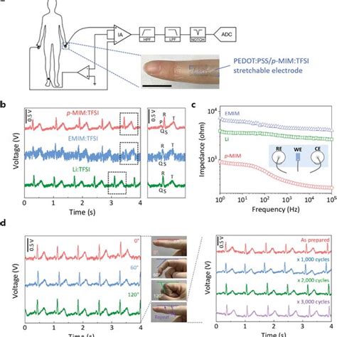 A Electrode Placement For Eog And Emg Chin Measurement Red Dot Download Scientific