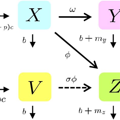 Basic Reproductive Numbers And Invasion Reproductive Numbers Before The