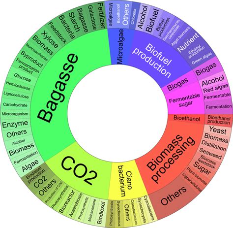 Clustering And Main Subclassifications Of The Concepts Related To Download Scientific Diagram