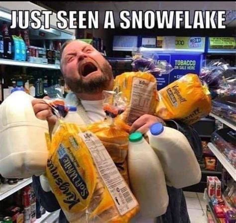 Ah The First Snowfall Of The Season Funny
