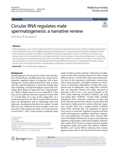 PDF Circular RNA Regulates Male Spermatogenesis A Narrative Review