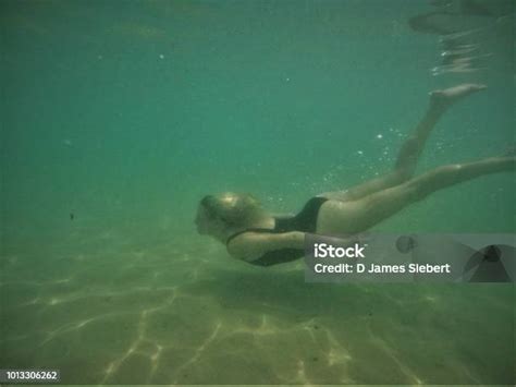 오아후 하와이 인근의 태평양 바다에서 바다의 바닥에 다이빙 Marine Reserve에 대한 스톡 사진 및 기타 이미지