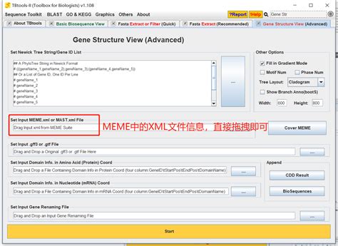基于tbtools做基因家族分析教程 （全）tbtools基因顺势作用原件 Csdn博客
