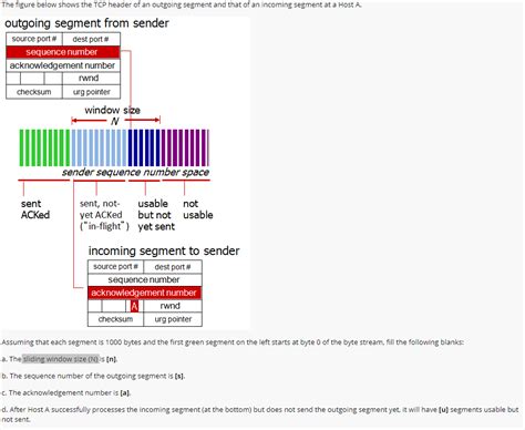 Solved The Figure Below Shows The Tcp Header Of An Outgoing