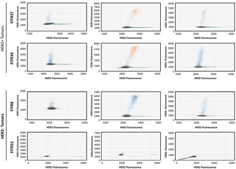 Determination Of Her Oncogene Co Amplifications In Breast Cancer