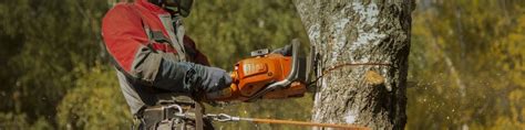 Ensuring Safety Around Power Lines With Proper Tree Maintenance Treenewal