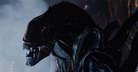 Xenomorph Types: List Of All Alien Castes And Variants | AvP Central
