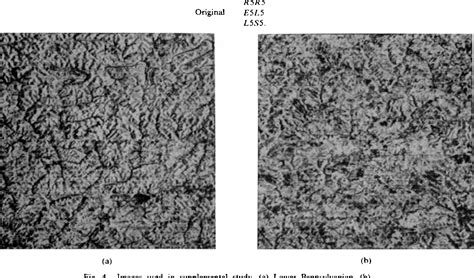 Figure 4 From Experiments With Texture Classification Using Averages Of Local Pattern Matches