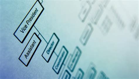 The Importance Of Hierarchy In The Workplace Bizfluent