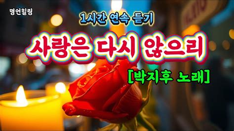 원곡자도 부르지 않았던 명곡으로 써 내려간 역전극박지후 사랑은 다시 않으리 미스터트롯33곡 연속 듣기 And 배우기자막 포함 박지후인생아 고마웠다미스터트롯