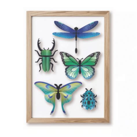Kit De Fabrication 5 Insectes Collection Mixte Vert Scarabées Papillons
