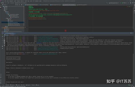 Springboot配置源文件报错 知乎