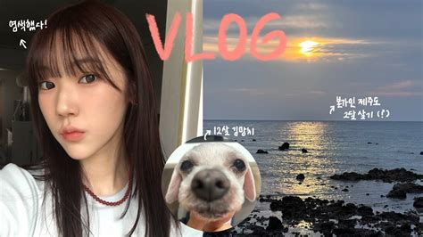 Vlog 랩실 그만두고 제주도 내려왔맨🏝️ 카페 알바 시작 집 앞 바다 빠지기 또 또 해녀촌 컴활토익 공부