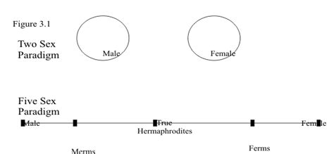 Chapter Sex And Gender